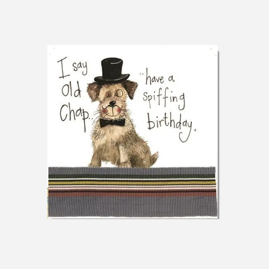 Alex Clark Large Card - Posh Paws – Rob McIntosh